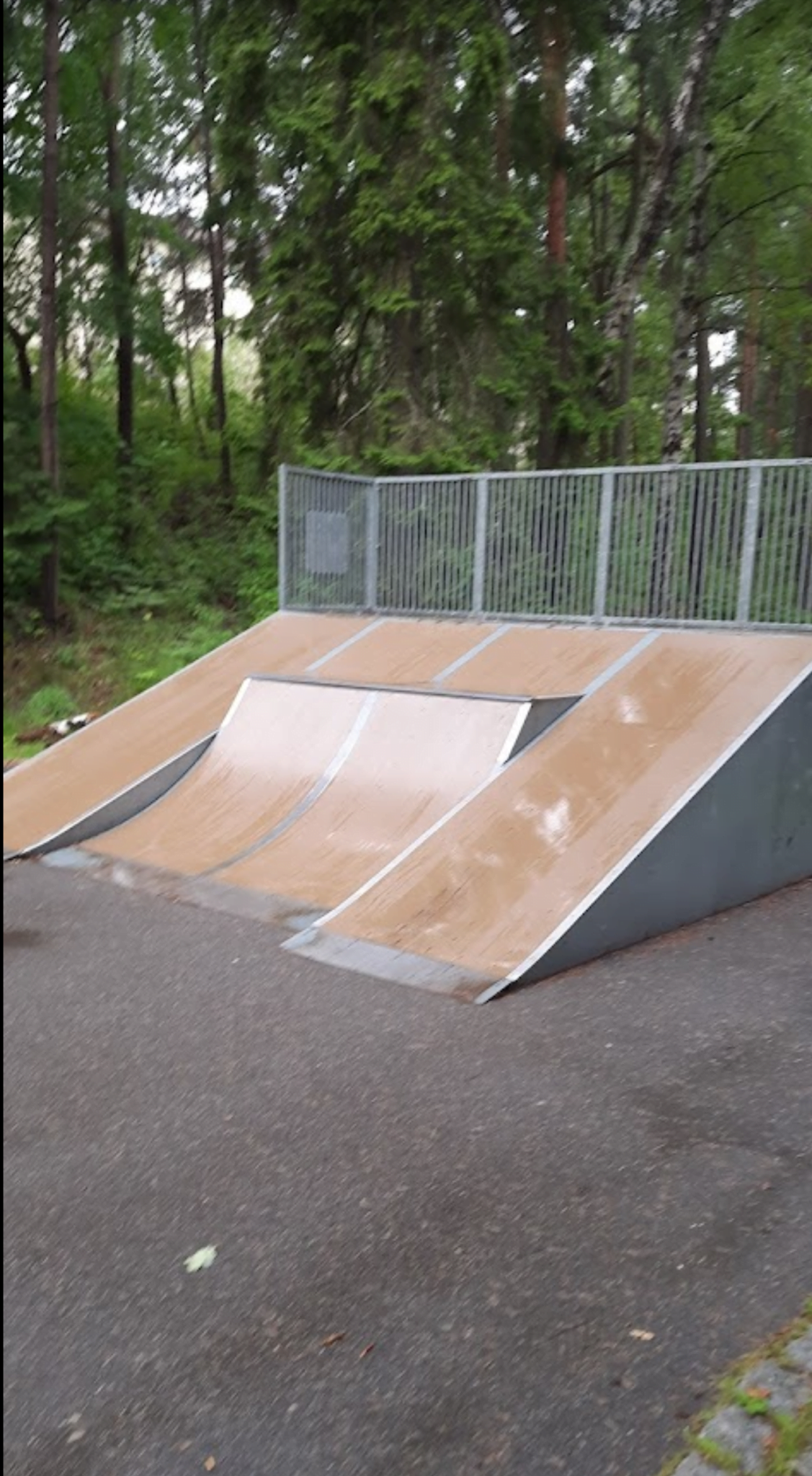 SKATESPOT - Sveriges bästa skateparker och skatehallar!